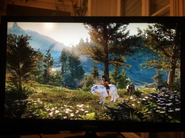 WiLD, exclusivo de PS4, ainda está em desenvolvimento; Nova imagem